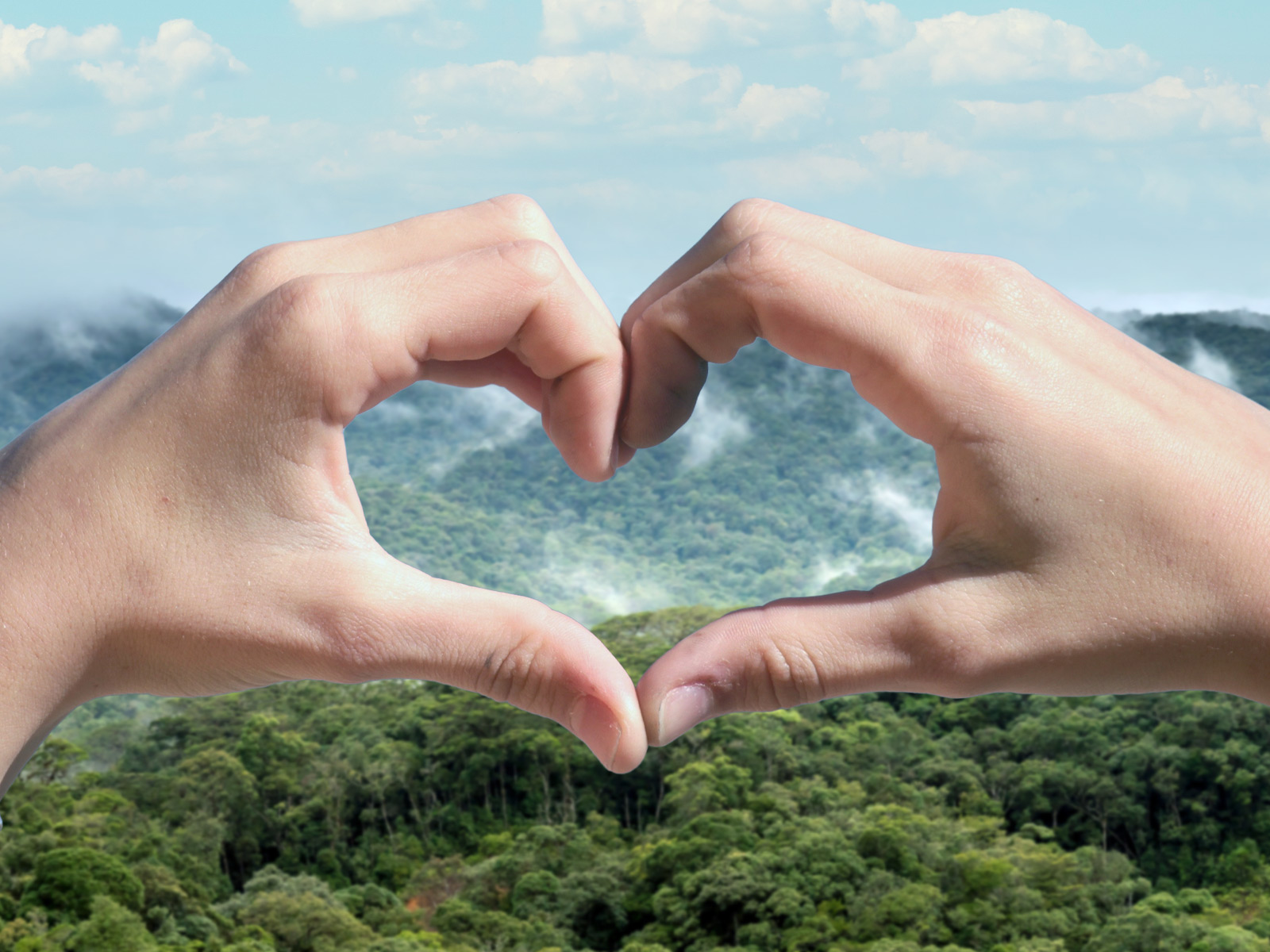 How to support a good cause! - Adopteer Regenwoud