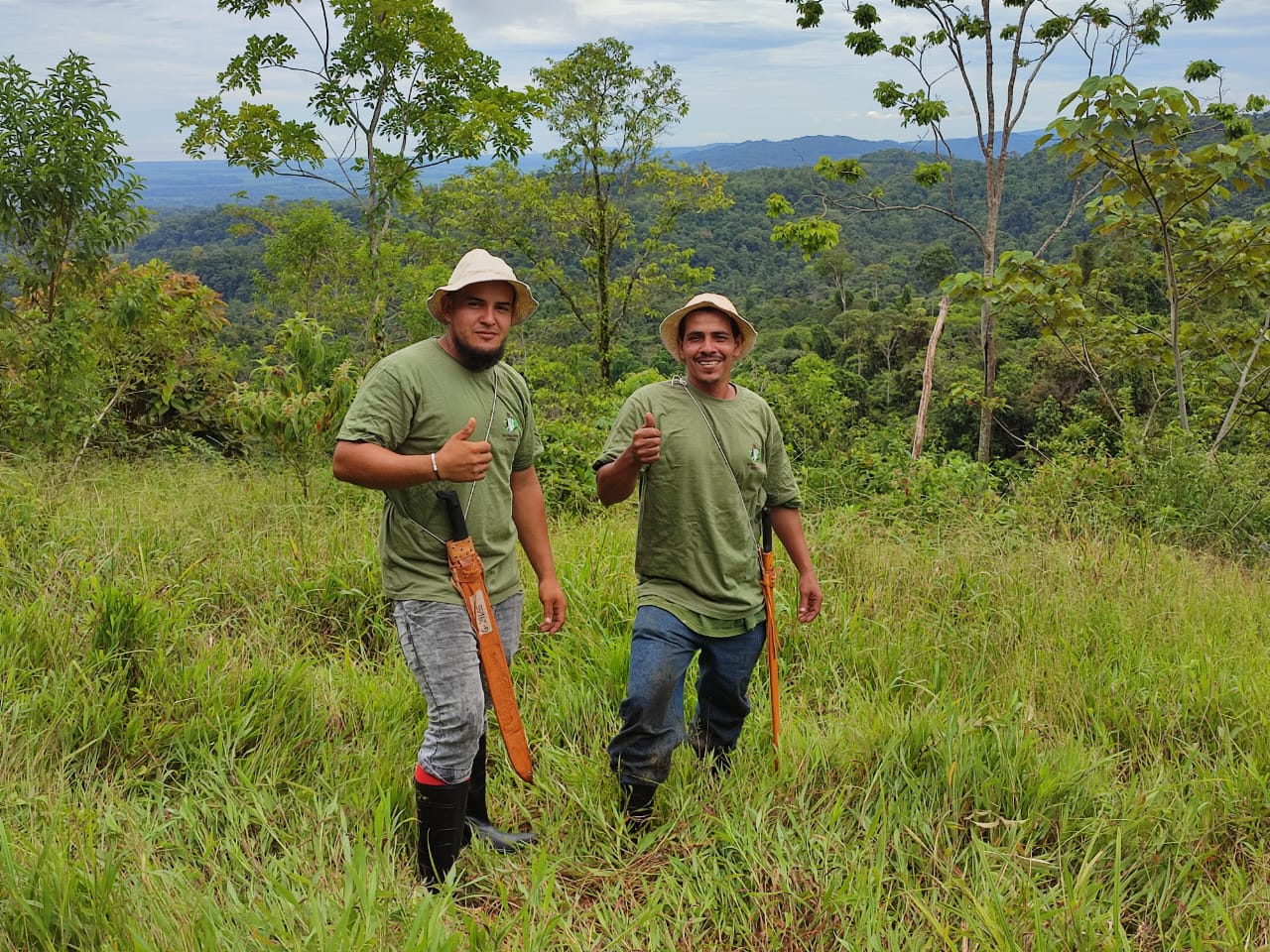 Adopt Rainforest deploys park rangers to protect rainforest - Adopteer ...